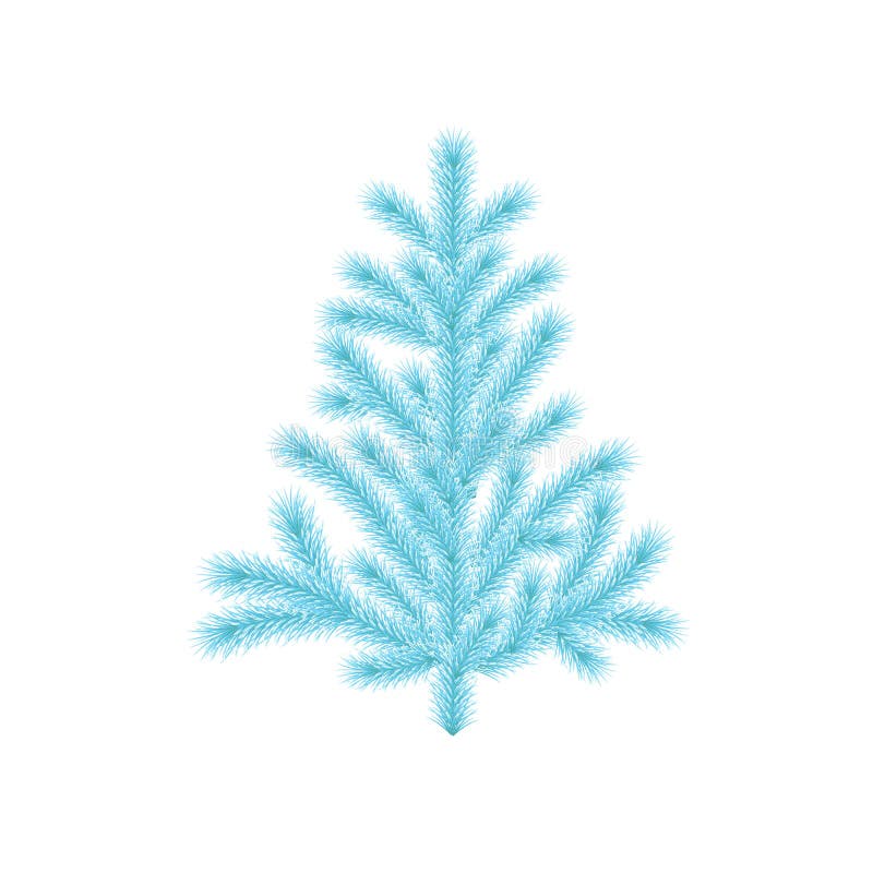 Blue spruce. stock vector. Illustration of ornament, december - 79633368