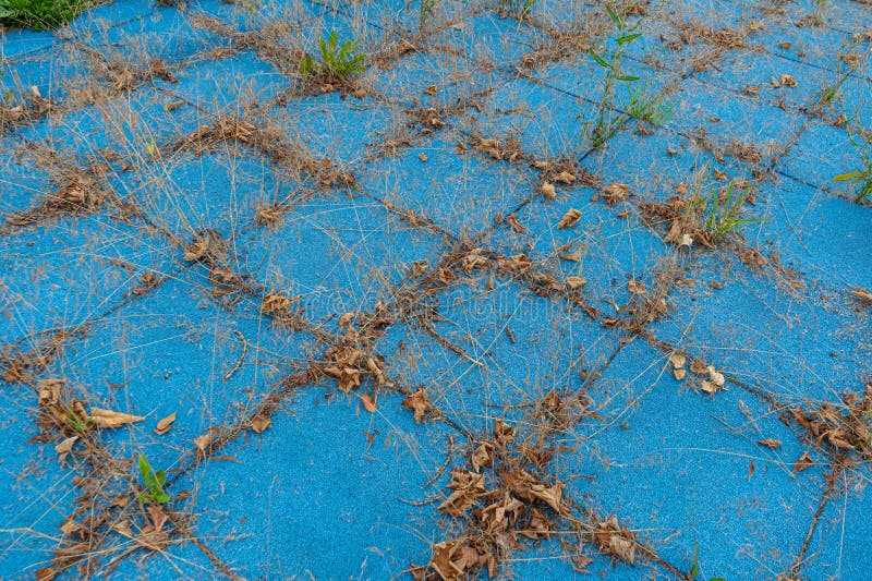 Blue Stadium Coverage Texture, Treadmill Textured Background, Jogging ...