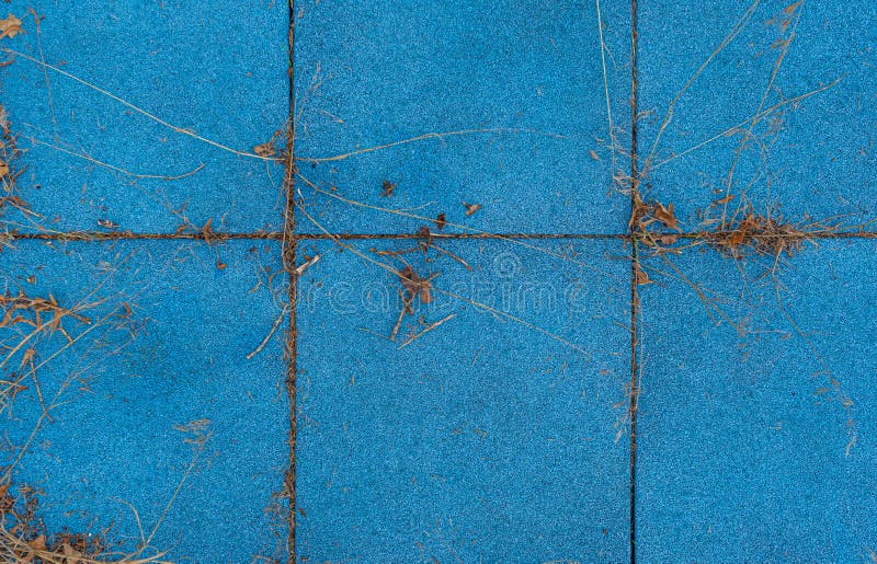 Blue Stadium Coverage Texture, Treadmill Textured Background, Jogging ...