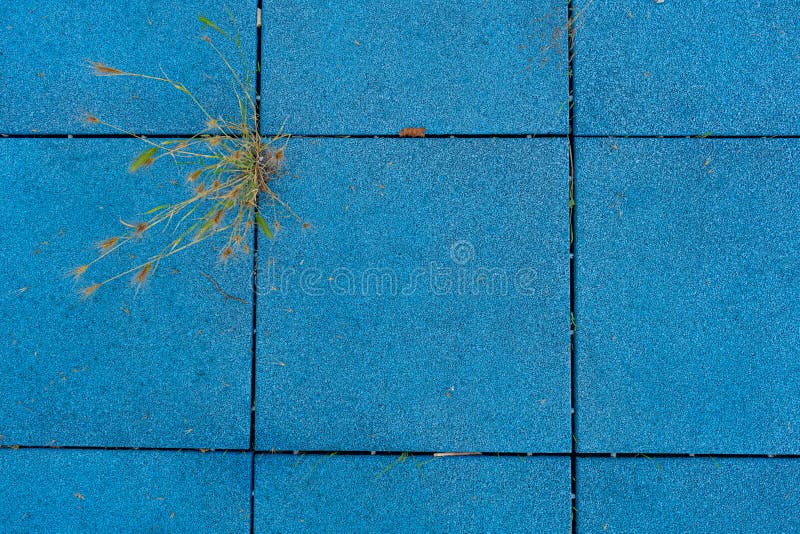 Blue Stadium Coverage Texture, Treadmill Textured Background, Jogging ...