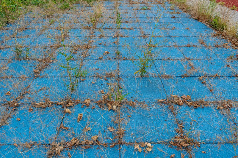 Blue Stadium Coverage Texture, Treadmill Textured Background, Jogging ...