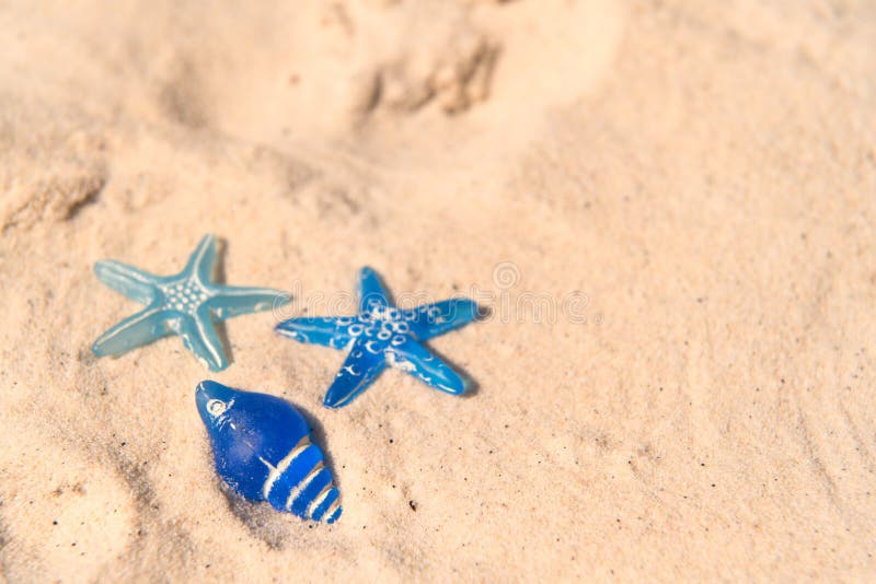 Blue Star Fish at the Beach Stock Image - Image of coast, palm: 179069957