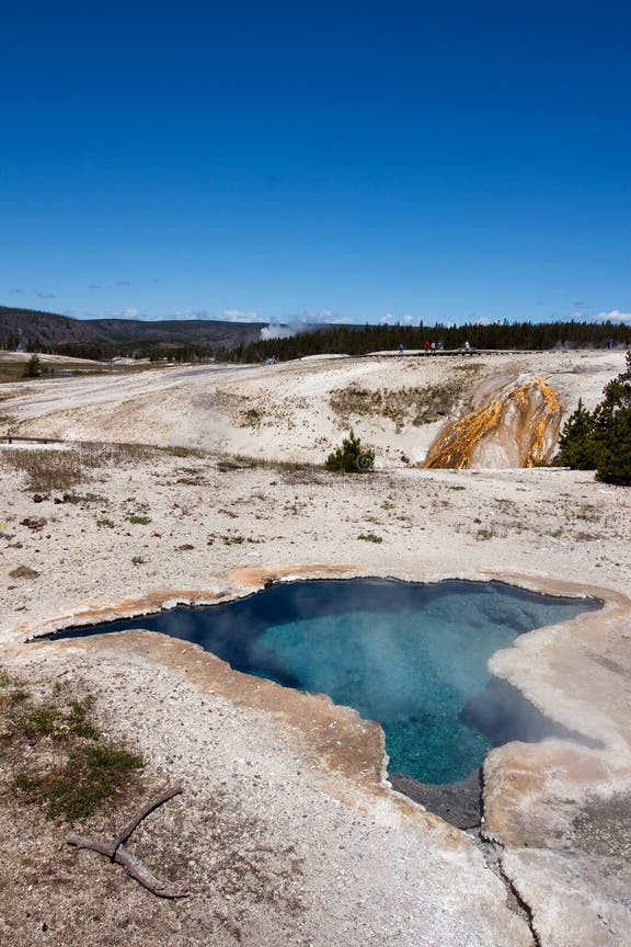 Blue star spring stock photo. Image of sulphur, nature - 14589070