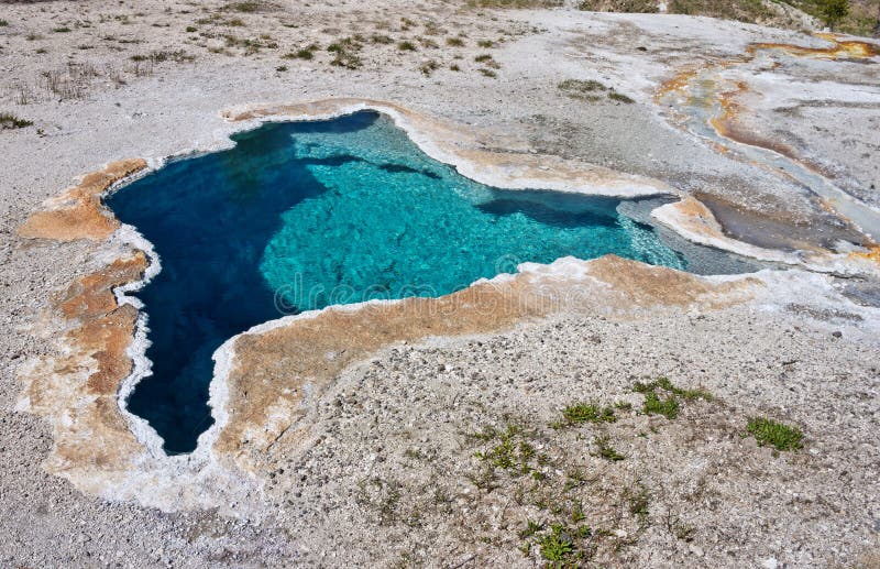Blue Star Spring in Yellowstone National Park, USA. Stock Image - Image ...