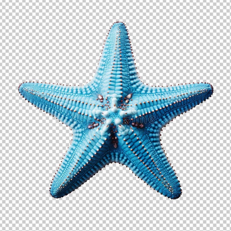 Blue Starfish Isolated on Transparent Background Stock Photo ...