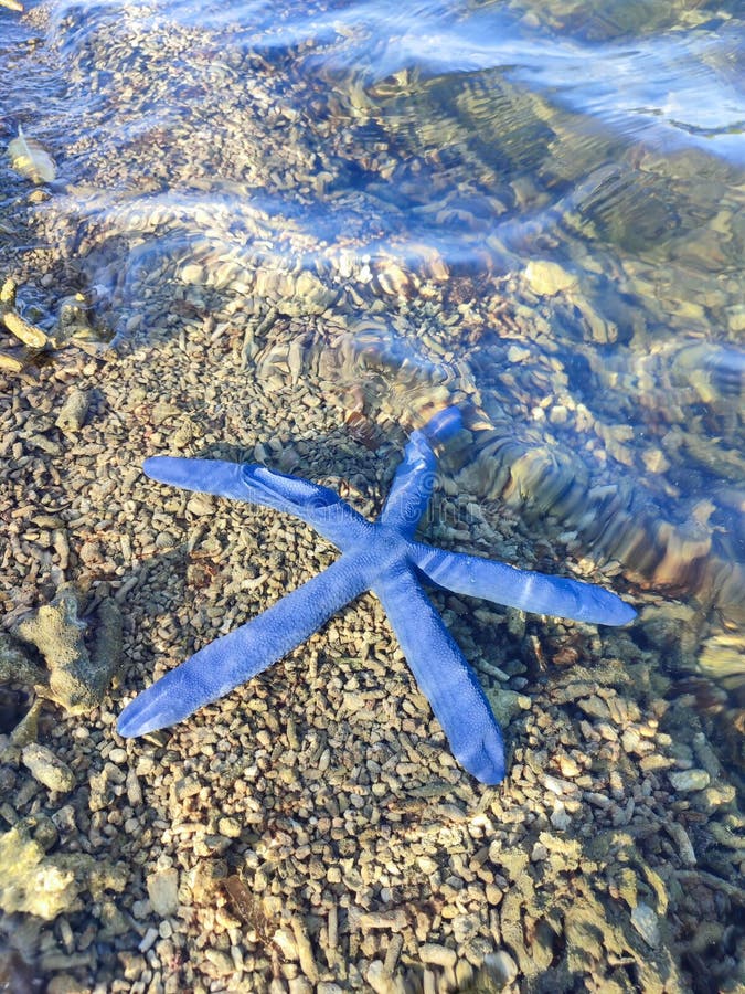 Tunda Island Stock Photos - Free & Royalty-Free Stock Photos from ...