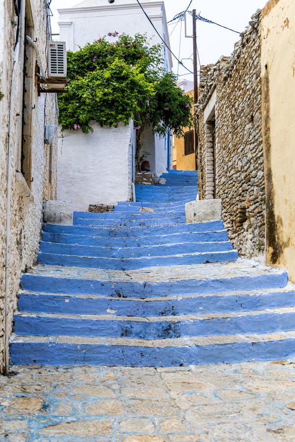Blue Steps between Homes and Flower Pots with Plants in Symi, Greece ...