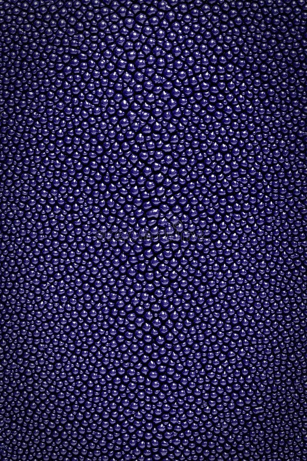 Stingray skin texture stock image. Image of nature, texture - 36780335
