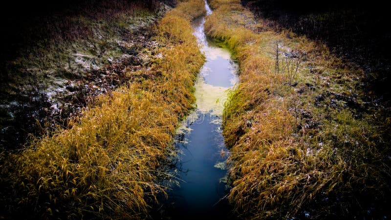 Blue Stream Flows through Nature with Algae Stock Photo - Image of ...