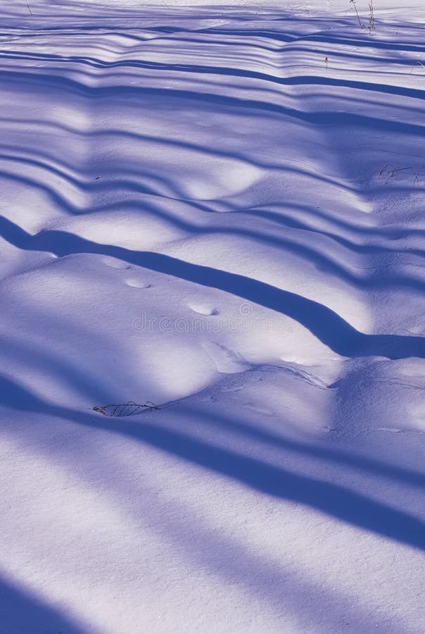 Blue Stripes of Shadows on the White Snow 2 Stock Image - Image of ...
