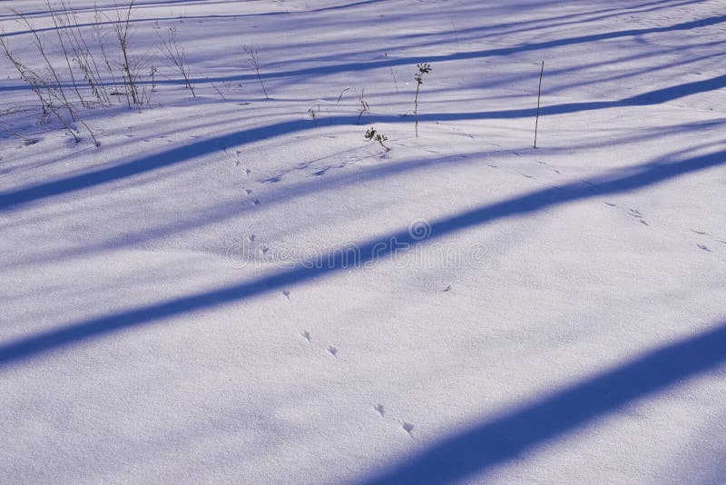 Blue Stripes of Shadows on the White Snow Stock Image - Image of sunny ...