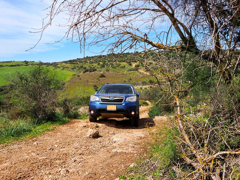 Blue Subaru Forester for a Walk Off-road Editorial Image - Image of ...