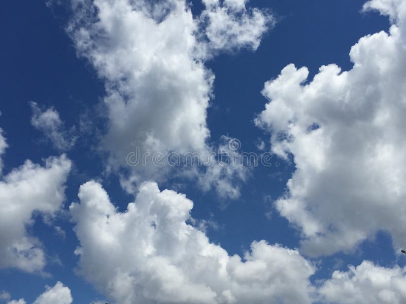 Blue summer sky stock image. Image of bright, morning - 96850979