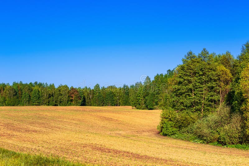 Blue Summer Sky Over Cultivated Field and Deciduous Forest Stock Image ...