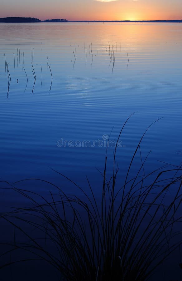 Blue Sunset stock image. Image of lake, summer, river - 1486287