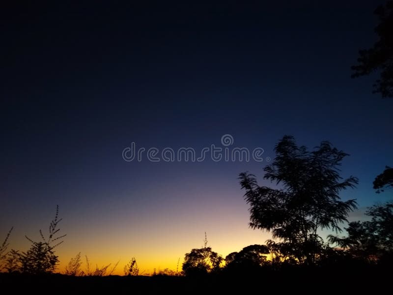 Blue Sunset with Trees and Landscape. Stock Photo - Image of color ...