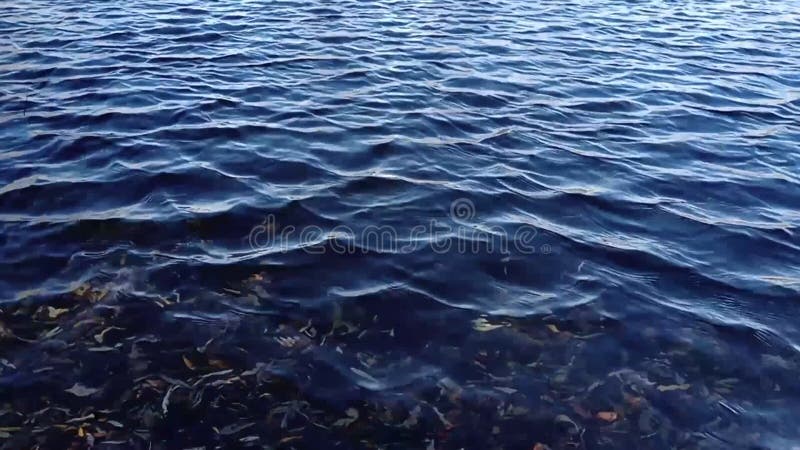 Blue Surface of the Lake Water Stock Footage - Video of ripple, splash ...