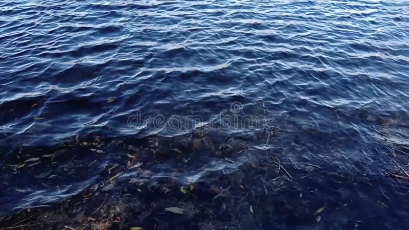 Blue Surface of the Lake Water Stock Video - Video of light, summer ...