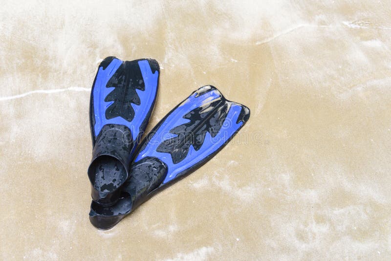 Blue Swim Fins on the Beach Stock Photo - Image of gear, concept: 53834950