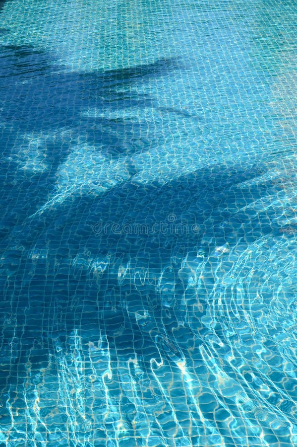 Blue Swimming Pool with Shadow of Tree, Beautiful Background Stock ...