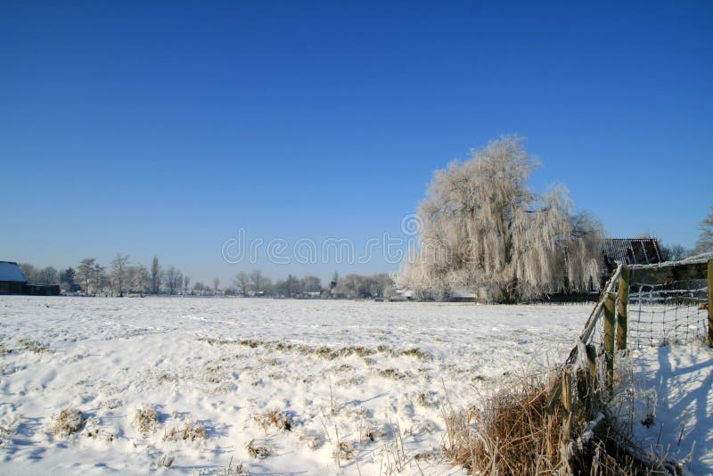 Winter Scene of Farm and Fields Stock Photo - Image of frost, clear ...