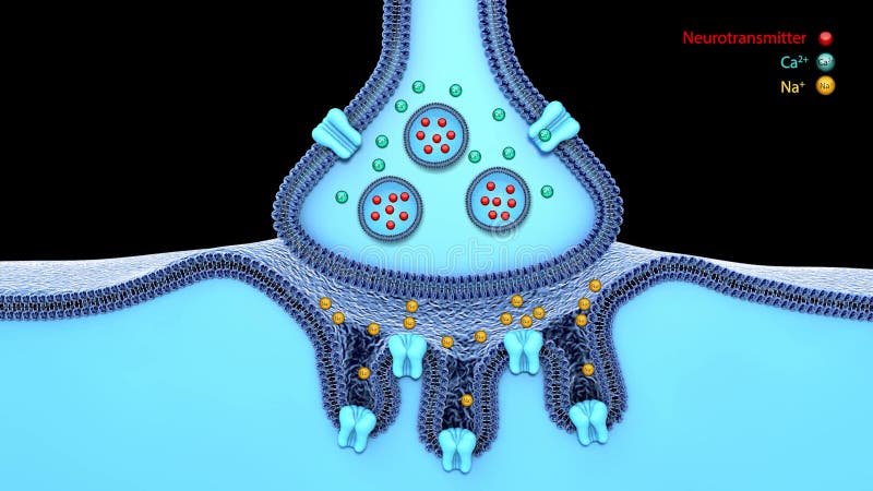 Blue Synapse and Neuron on a Blue Background. 3d Rendering,scientific ...