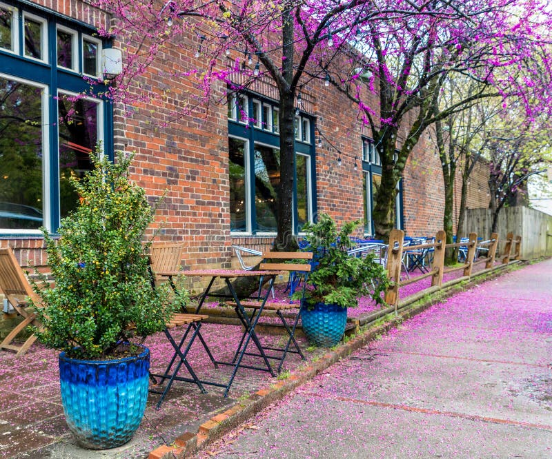 Blue Table and Chairs at a Restaurant with Beautiful Flowering Trees ...