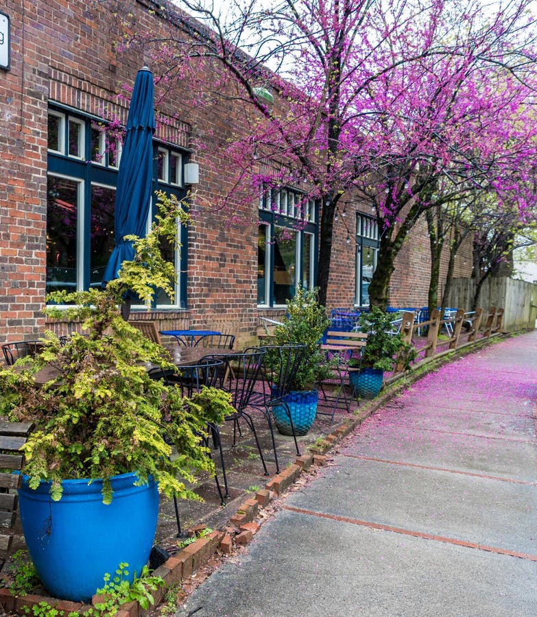 Blue Table and Chairs at a Restaurant with Beautiful Flowering Trees ...