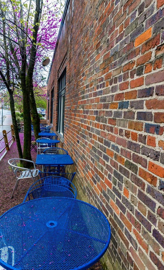 Blue Table and Chairs at a Restaurant with Beautiful Flowering Trees ...