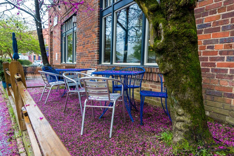 Blue Table and Chairs at a Restaurant with Beautiful Flowering Trees ...