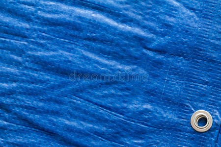 5,960 Tarp Turtle Stock Photos - Free & Royalty-Free Stock Photos from ...