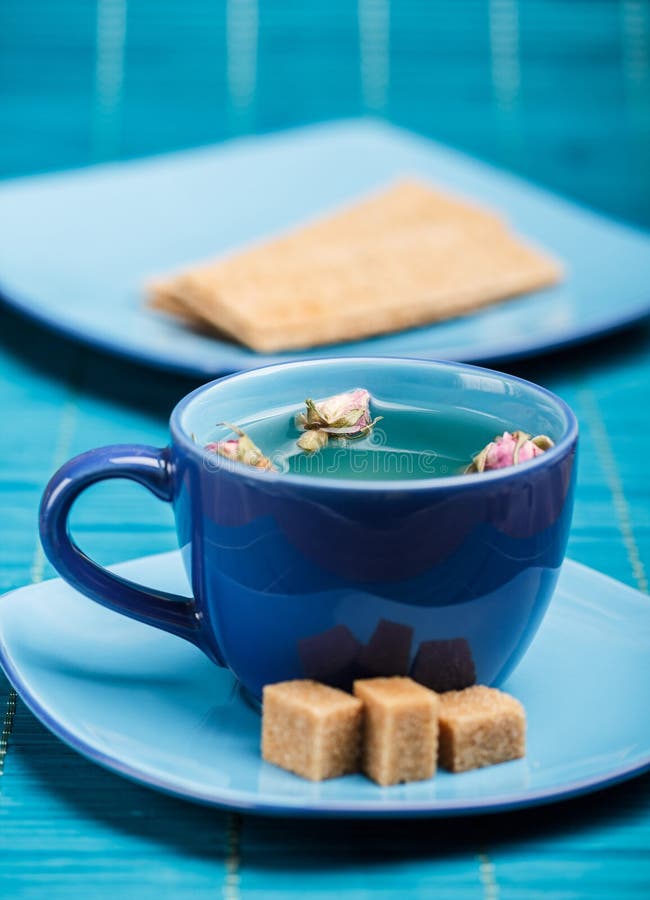 Blue tea cup stock photo. Image of teacup, refreshment - 29490364