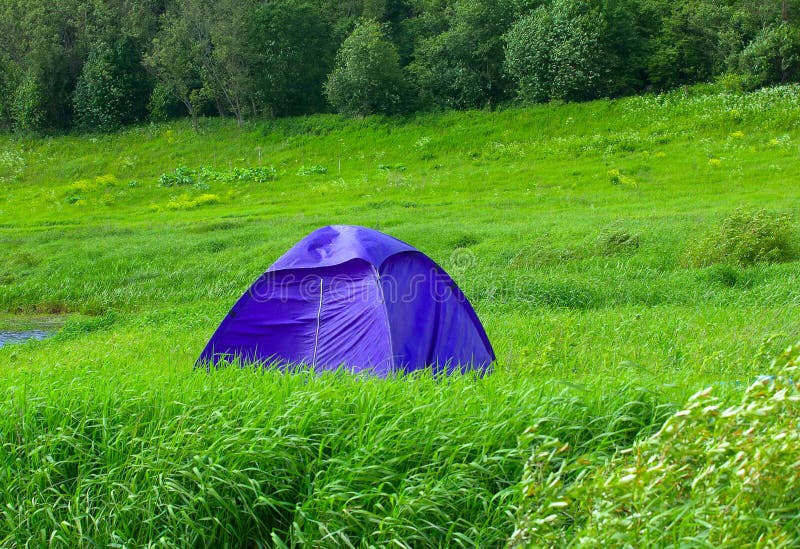 Blue Tent Set in Meadow, at Woodside Stock Image - Image of tourist ...