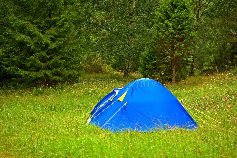 Blue tent stock photo. Image of wild, vacation, blue - 36272304