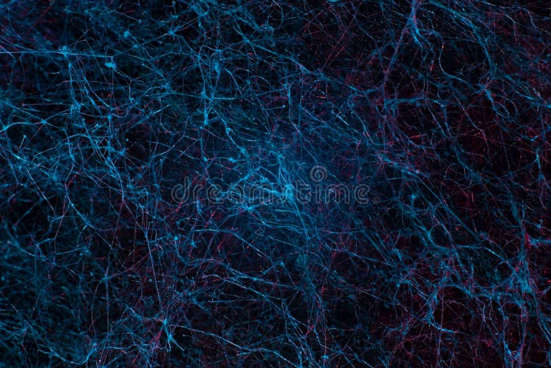 Fungal System Growing Beneath the Earth , Soil. Mycelium Network .3d ...