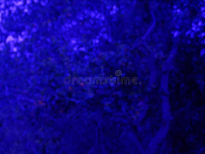 Blue Texture Sparkling Trees Stock Photo - Image of abstract, distorted ...