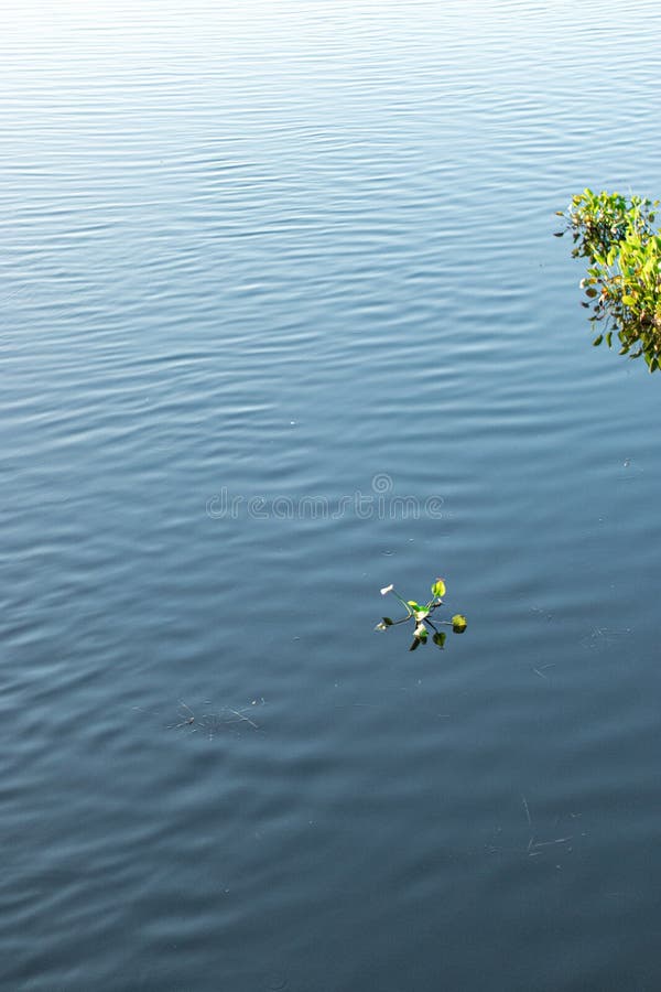 Blue Texture of Water in a Pond. Stock Image - Image of travel, alone ...