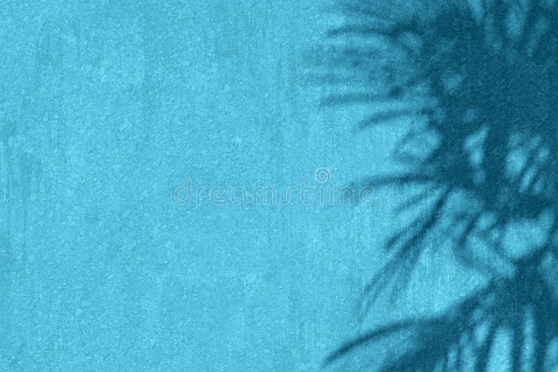 Blue Textured Plaster Wall Background with Palm Leaves Shadow Stock ...