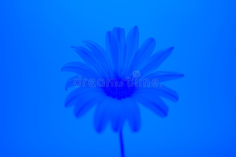 Blue theme stock illustration. Illustration of abstract - 464019