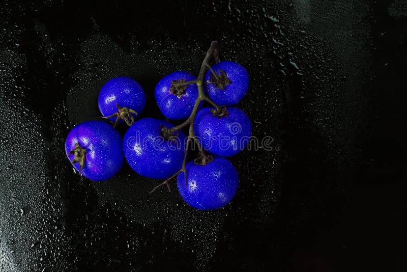 Blue tomatoes stock photo. Image of plant, market, vegetable - 76837148