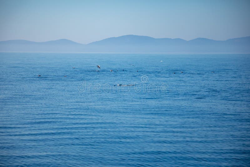 Blue Tones Water Waves Surface As Background Stock Image - Image of ...