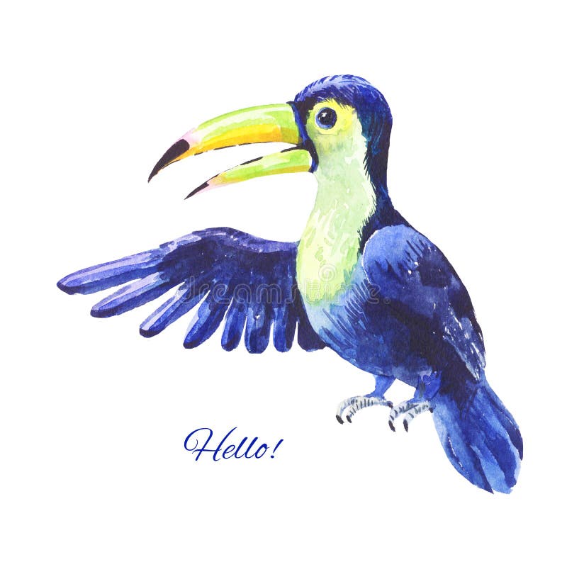 Blue toucan by watercolor stock illustration. Illustration of rain ...