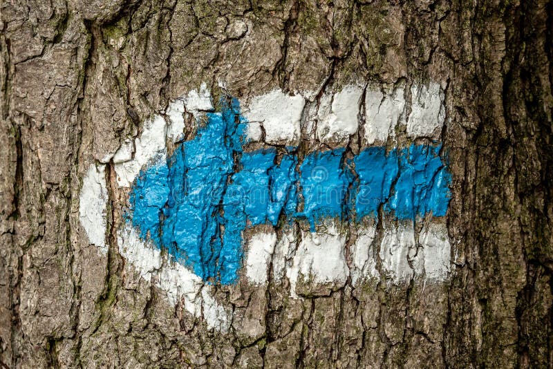 Blue Tourist Sign on a Tree Trunk Stock Photo - Image of guide, tourism ...
