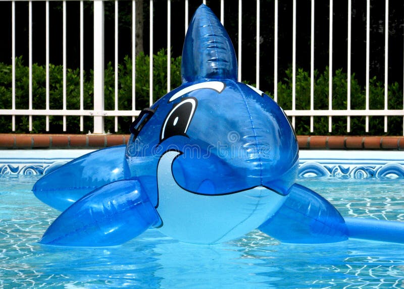 Inflatable Dolphin on Blue Swimming Pool Stock Image - Image of ...