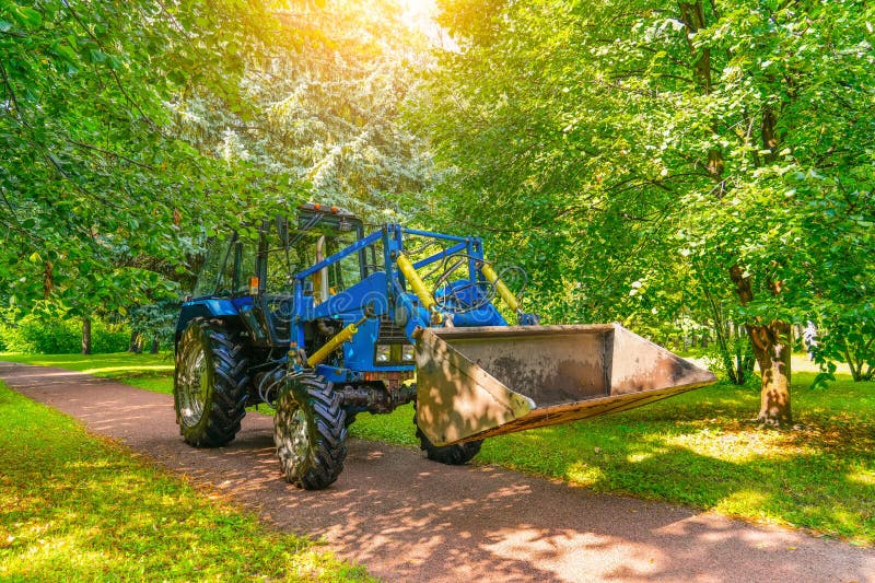 Blue Tractor with a Bucket in Front in the City Park, Maintenance ...
