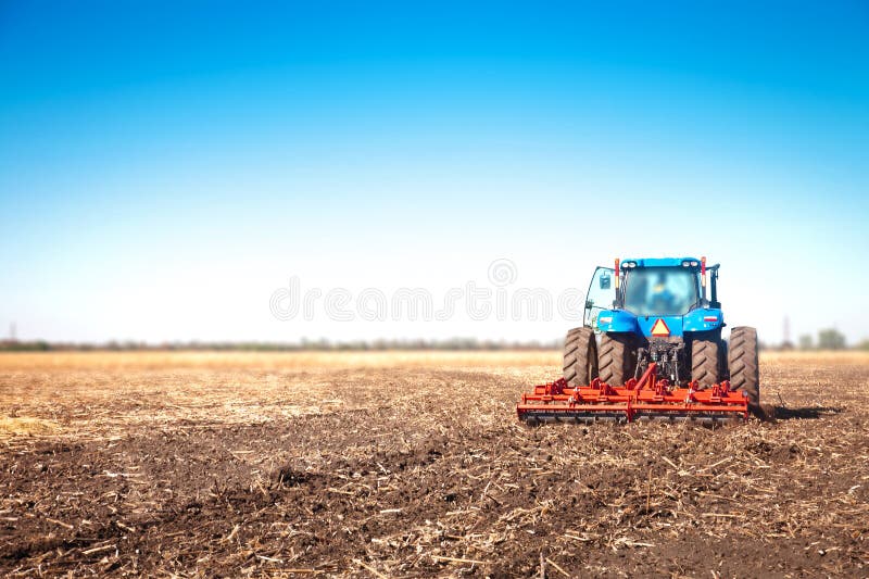 Blue Tractor in Farm Napier Grass. Tractor Working on the Farm in the ...