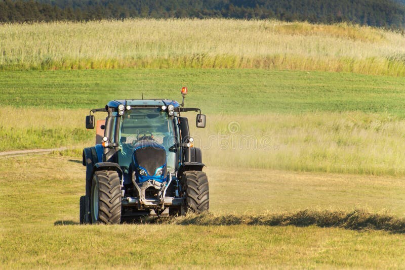 Blue Tractor on the Pasture.. Agricultural Work on the Farm in the ...