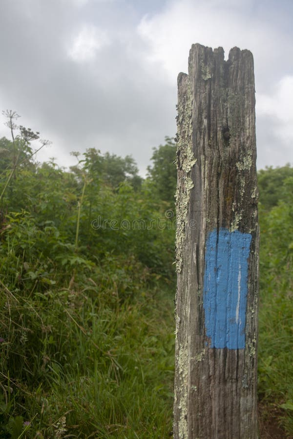 Blue Trail Marker on Hiking Trail Stock Image - Image of outdoor, trail ...