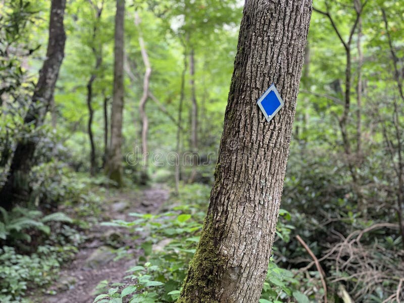 Blue Trail Marker on a Tree with the Trail Shown Stock Image - Image of ...