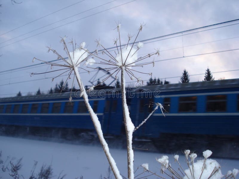 Blue train on snow road stock image. Image of freezing - 218432729